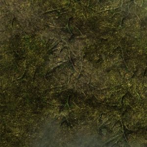 New FLG Mat: Swamp in 6×4′, 4×4′ and 3×3′ sizes.